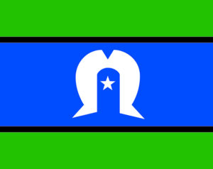 Torres strait islander flag 19 x 24mm Spine Stickers – Fry Library ...