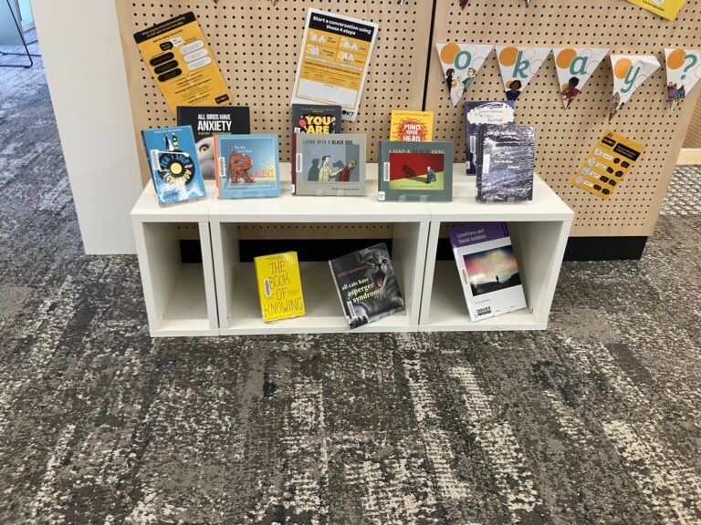 Stackable Display Cubes – Fry Library & School Supplies