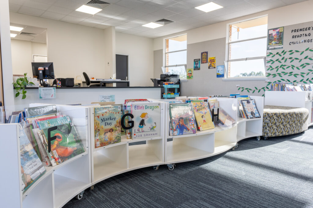 Curved Childrens Browser Box Mobile – Fry Library & School Supplies