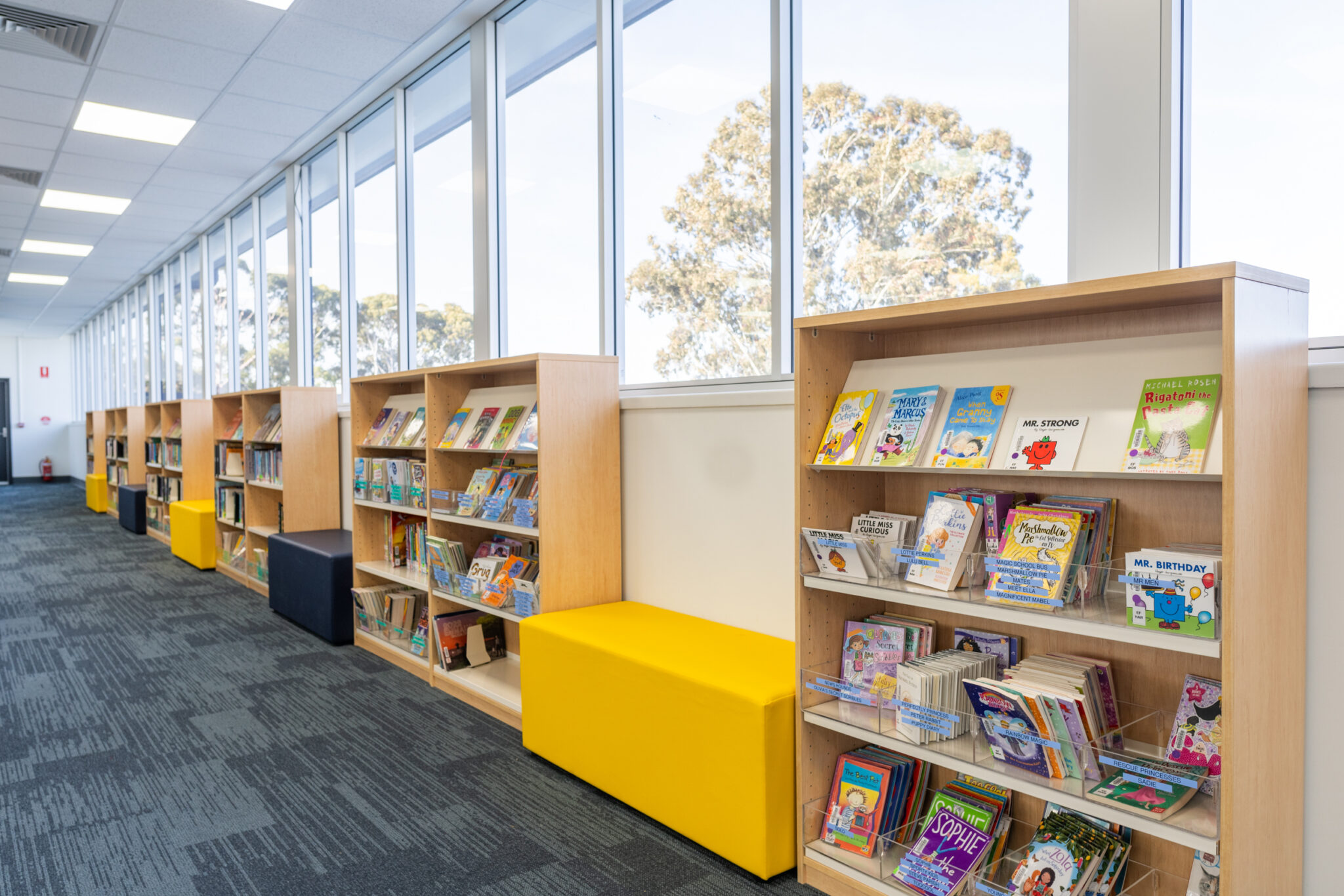 Single Sided Laminex Bookcase with Metal Shelves – Fry Library & School ...